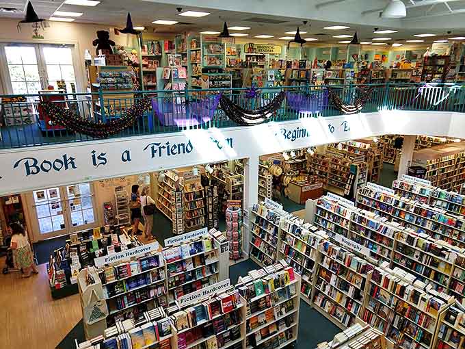 Cozy corners and thoughtful organization make finding your next literary companion feel less like shopping and more like reuniting with old friends.