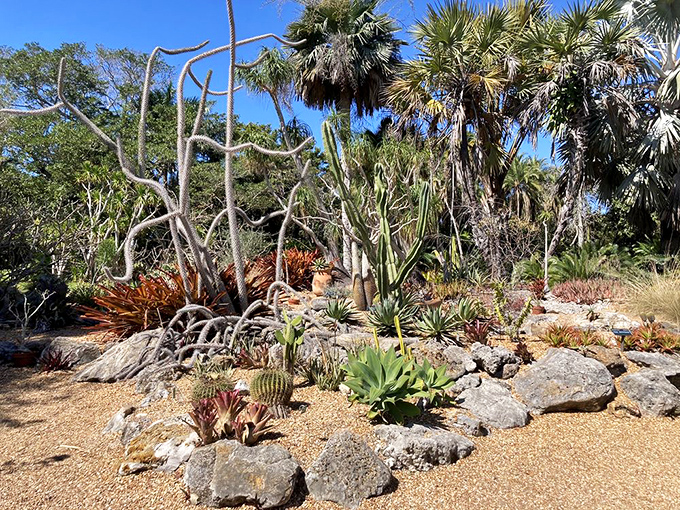 Desert meets tropics in this artfully designed succulent garden where spiky plants seem to be having a very serious meeting.