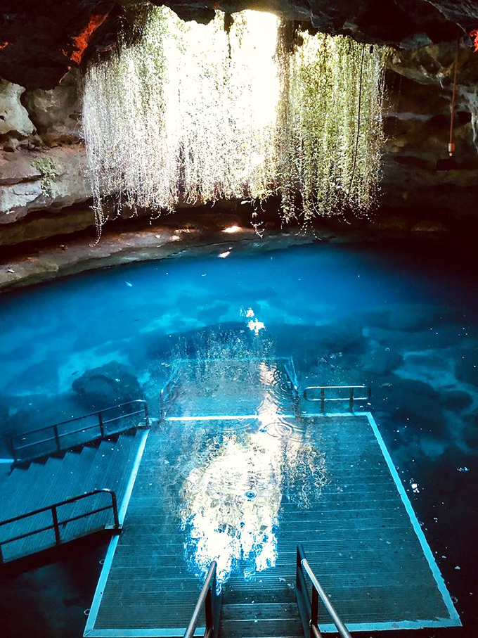 Dive Platform Under Skylight Vines: Swimmers prepare to plunge beneath nature's own spotlight, where blue waters beckon with prehistoric secrets.