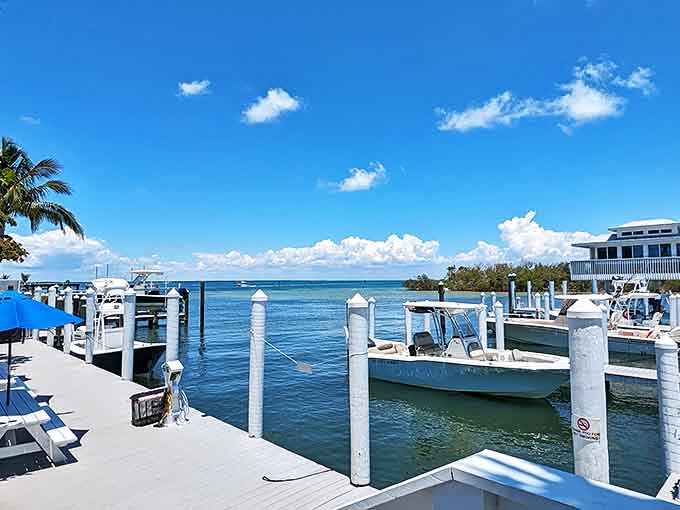 Eagle Grille's waterfront dining offers front-row seats to nature's daily show, with boats and dolphins providing the entertainment.
