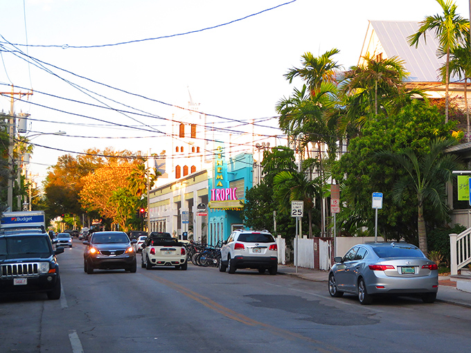 Eaton Street's palm-lined charm offers a quieter side of Key West, where locals know which restaurants serve the freshest catch of the day.