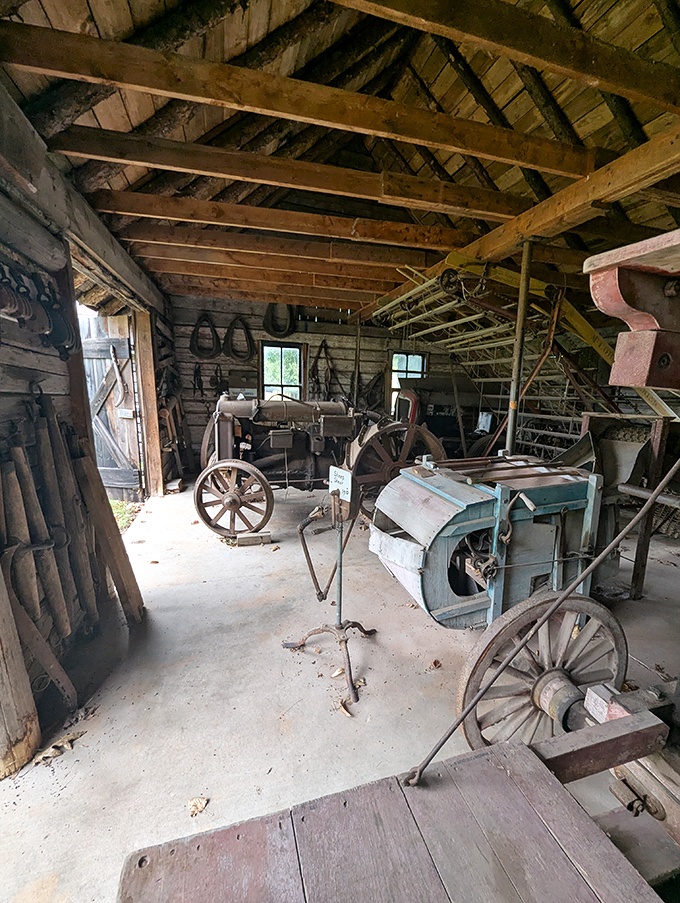 Equipment Room: Farm implements and tools hang like industrial art, each representing hours of backbreaking labor our ancestors called "just Tuesday."