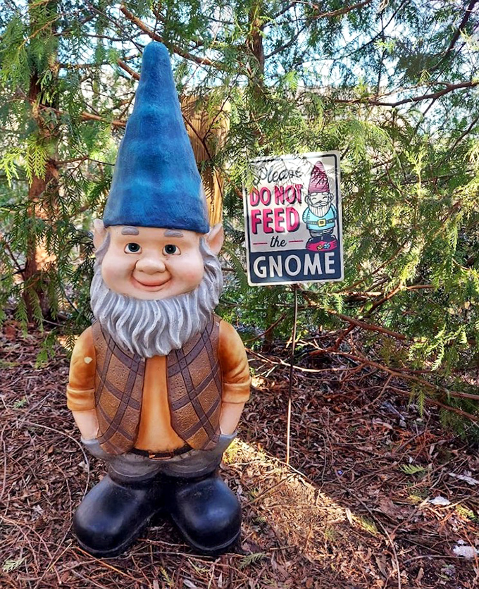 Gnome Display: "Please DO NOT FEED the GNOME" - the forest's version of zoo rules, protecting mythical creatures from well-intentioned overfeeding.
