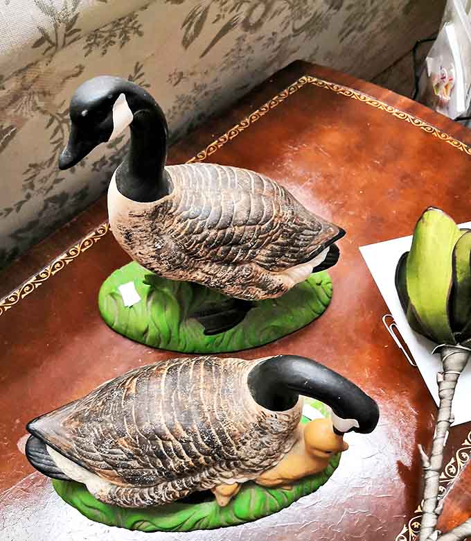 These ceramic goose figurines, caught in eternal mid-waddle, represent the quirky treasures that make thrift store hunting an addictive sport for collectors everywhere.