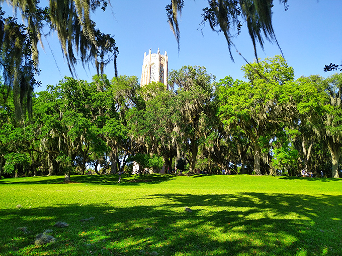 Nature's perfect lawn stretches toward distant trees, creating a pastoral scene worthy of a landscape painter's canvas.