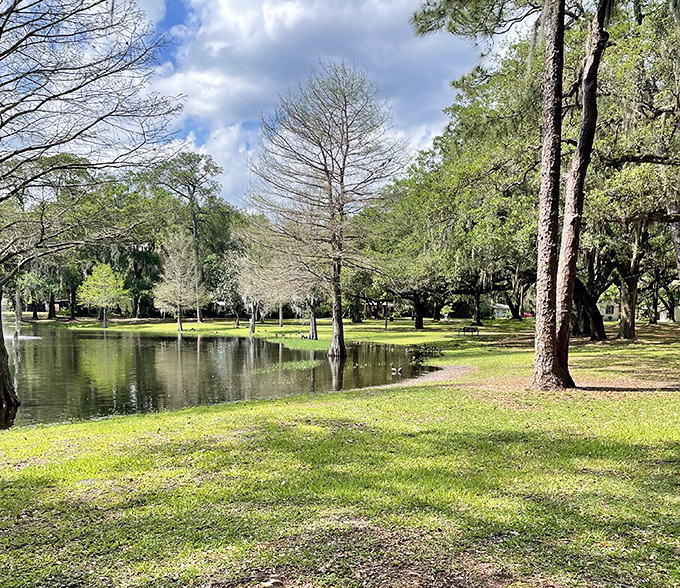 James Dunn Lake's tranquil waters reflect centuries-old trees, offering a moment of reflection in our otherwise hurried lives.