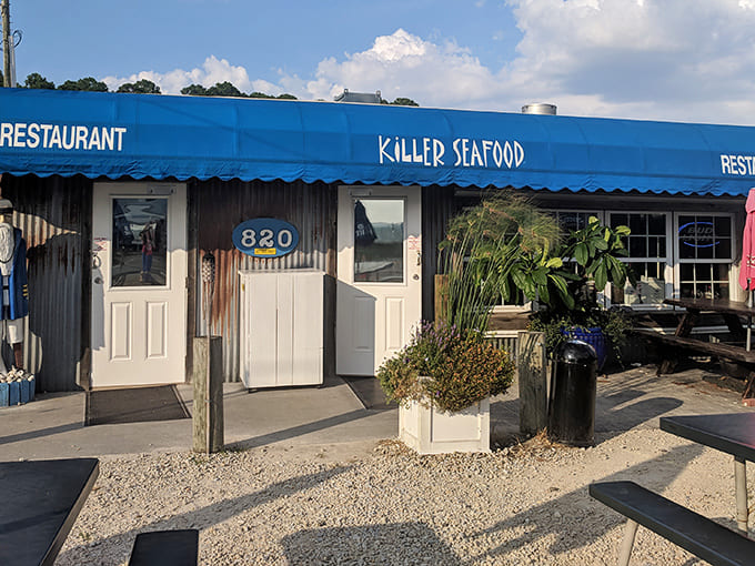 Killer Seafood's humble appearance belies its reputation &ndash; proof that in Mexico Beach, substance trumps style and fresh fish needs little fanfare.