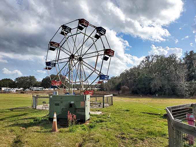 This modest Ferris wheel offers panoramic views without vertigo-inducing heights &ndash; perfect for creating family memories without the screaming.