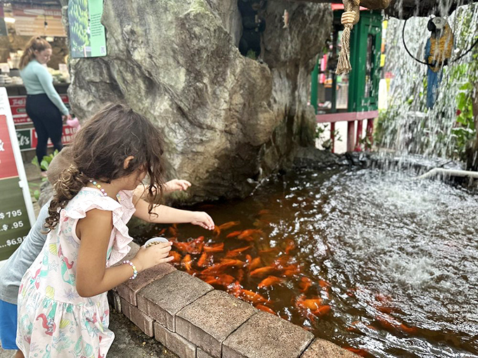 Tiny hands toss food to hungry koi, creating a swirling underwater rainbow that hypnotizes children and adults alike.