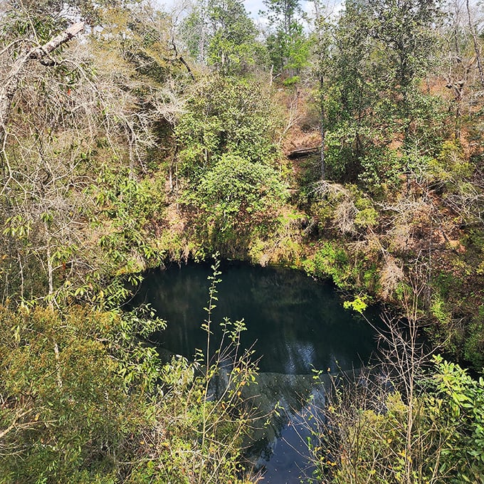 The mysterious Leon Sinks &ndash; where water disappears underground like nature's magic trick, connecting to Florida's vast aquifer system.