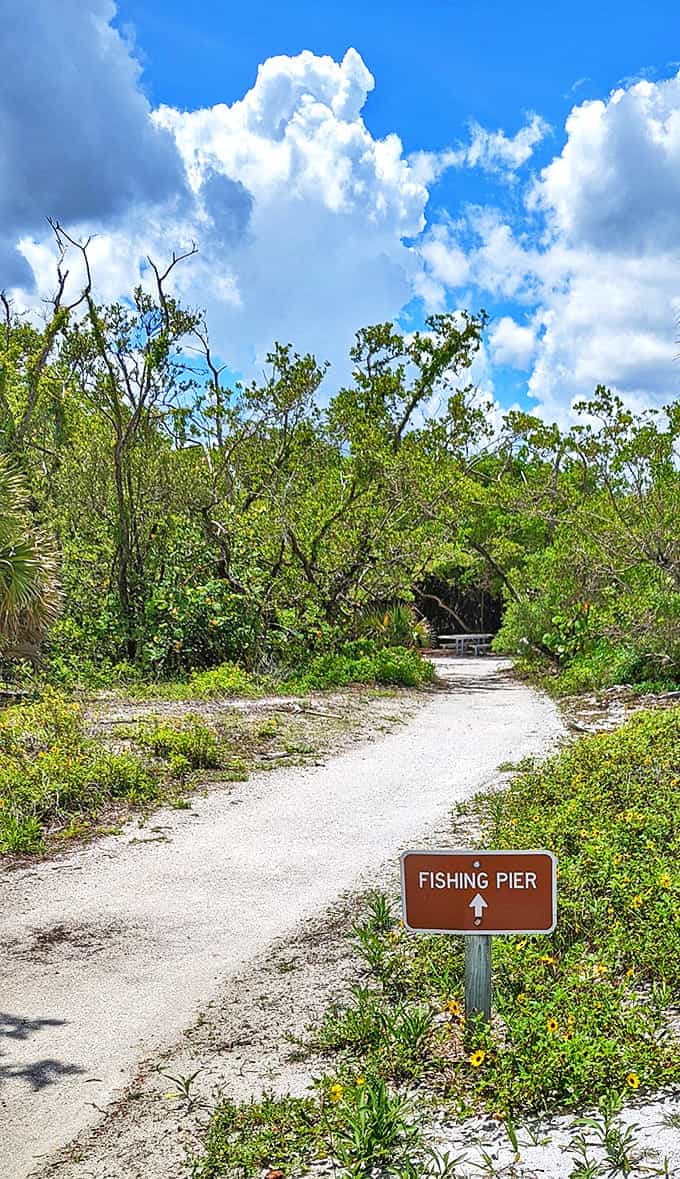 Follow this sandy path to fishing adventures, where patience is rewarded with both catches and tranquility.