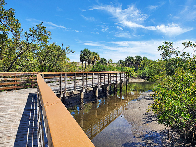 
Winding through coastal wilderness, this boardwalk offers glimpses into Florida's native ecosystem, preserved perfectly on this tiny island.