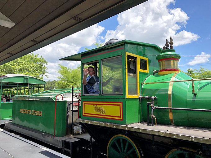 Mr. Operator: The conductor peers from the vintage cab, part transportation professional and part time-travel guide to this African adventure.