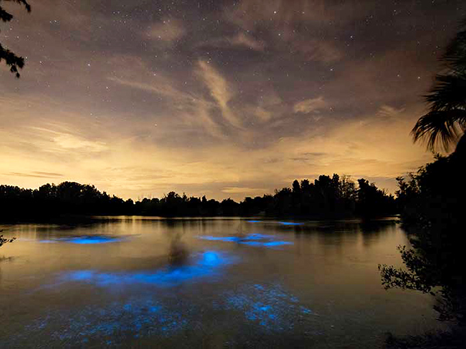 The calm before the glow &ndash; as night falls, patches of blue begin to appear like nature's own connect-the-dots puzzle.