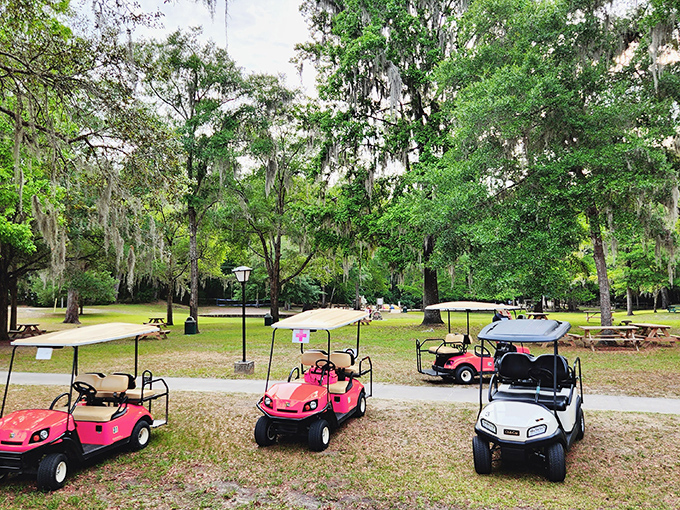 Golf carts lined up under moss-draped oaks &ndash; Florida's version of a luxury car dealership.