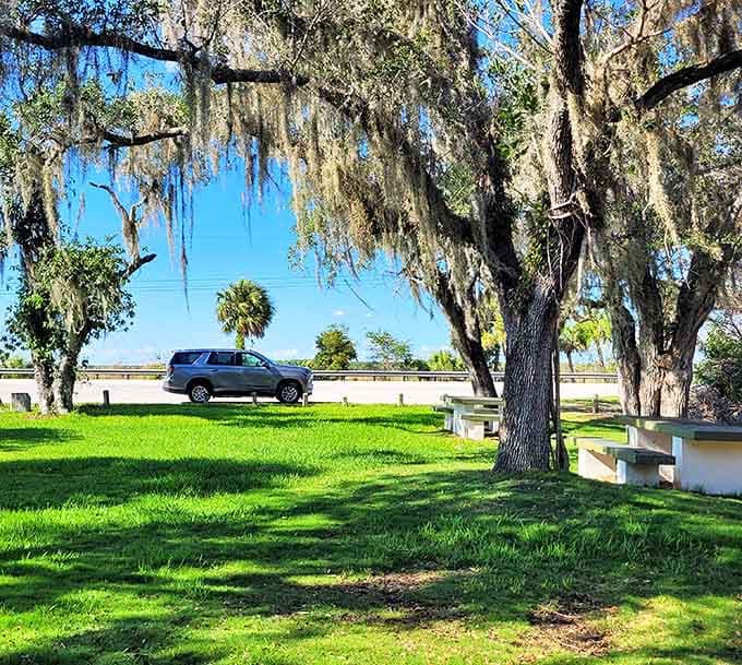 Under Spanish moss chandeliers, this picnic area offers dining with a view that no five-star restaurant could possibly match.