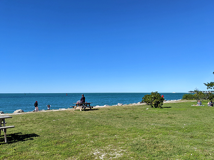 Picnic area: Where picnic tables with million-dollar views make ordinary lunches feel like five-star dining experiences.