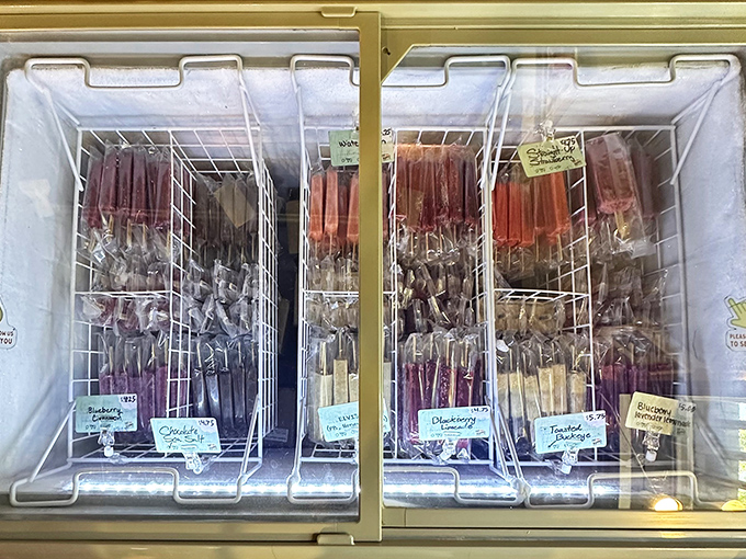 The freezer display case presents a colorful array of frozen possibilities, arranged with the care of a museum curator who happens to specialize in deliciousness.