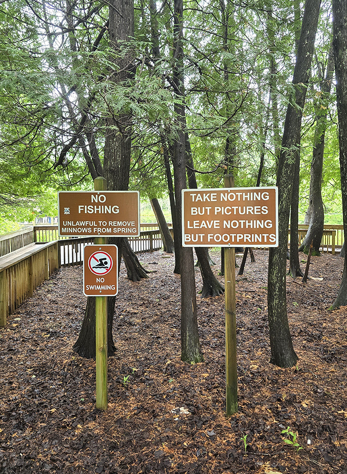 The signs say it all &ndash; this pristine natural wonder operates on a simple principle: look with your eyes, not with your hands.