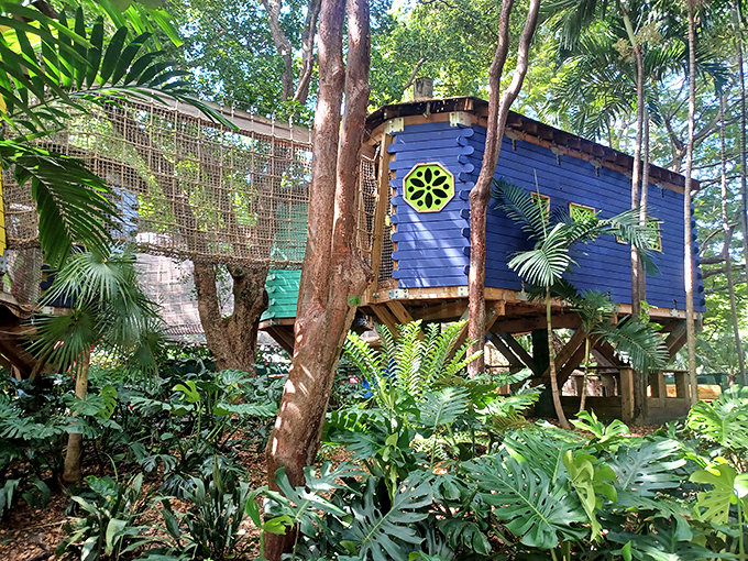 Part treehouse, part adventure course. These colorful elevated structures blend whimsy with engineering in Miami's urban forest.