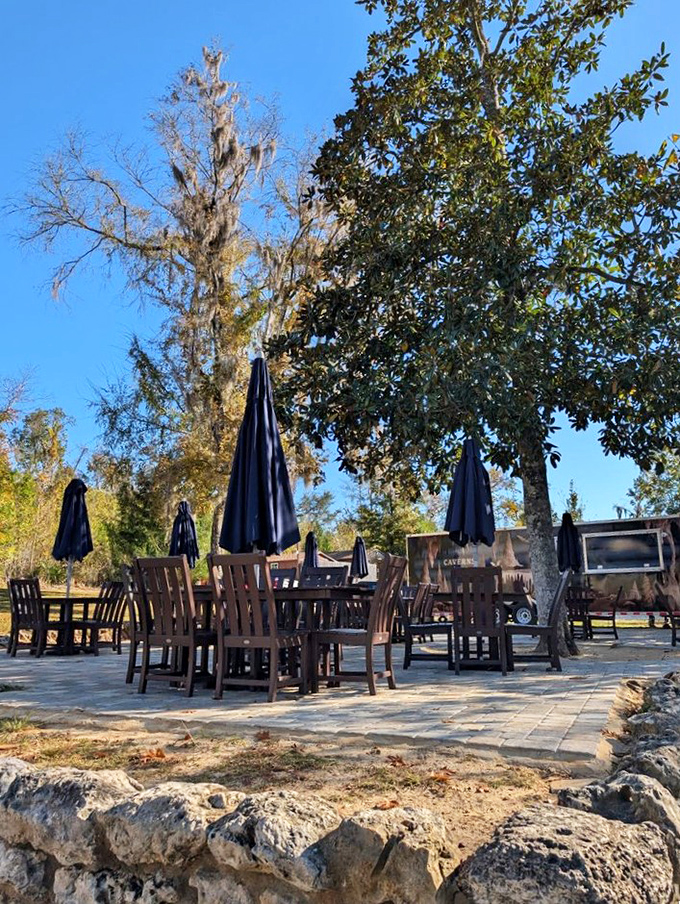 Take a moment to rest those explorer legs while contemplating the ancient forces that shaped this underground wonderland.