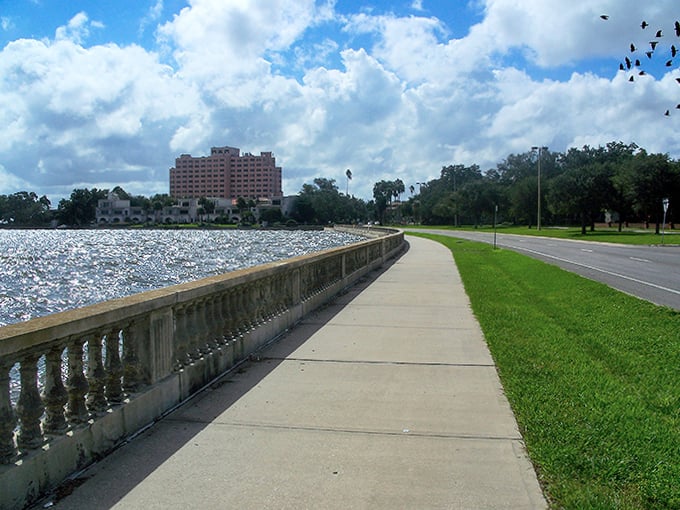 Every step along Bayshore offers a new perspective on Tampa Bay, where urban sophistication meets Florida's natural splendor.