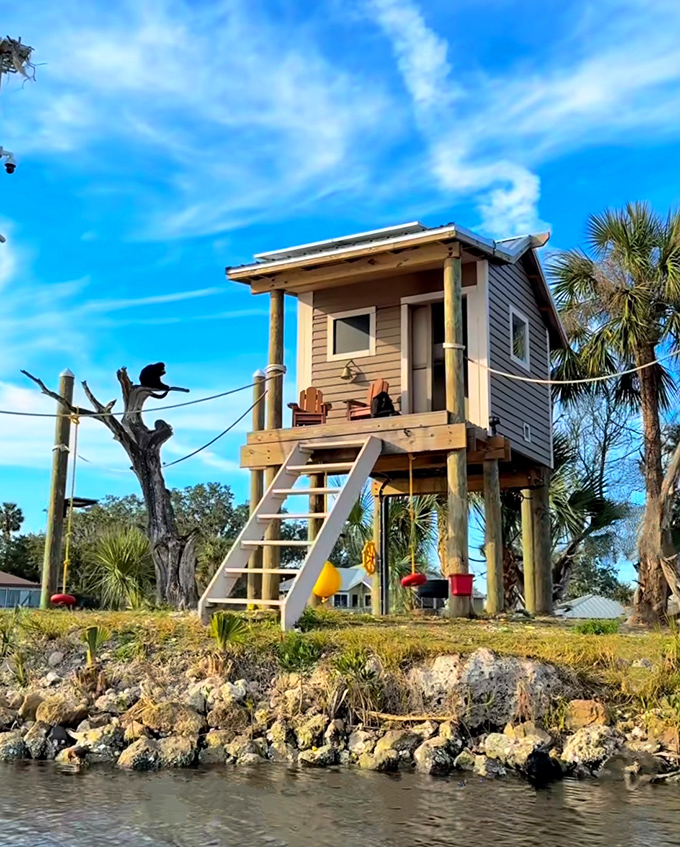 This tiny house would fetch millions in the California real estate market, but the monkey residents got it for free.