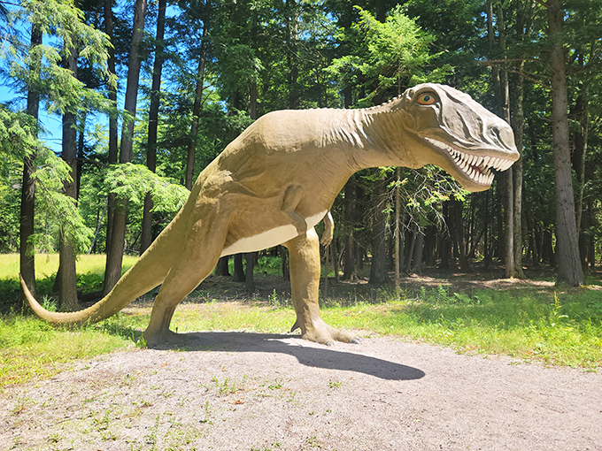 This imposing T-Rex stands guard at the park entrance, giving visitors their first taste of prehistoric proportions.