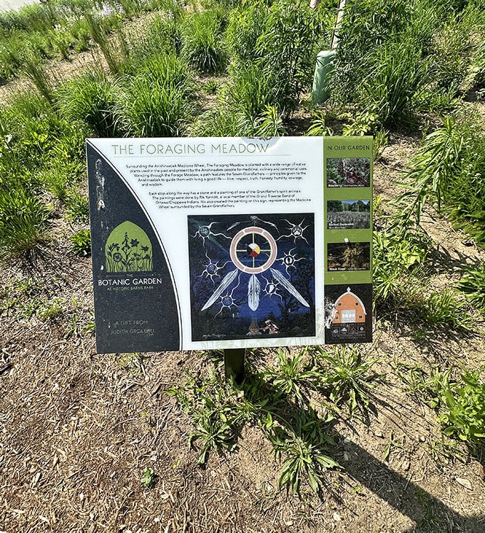 Educational signage reveals the secrets of the Foraging Meadow, where what looks like ordinary plants become extraordinary resources.