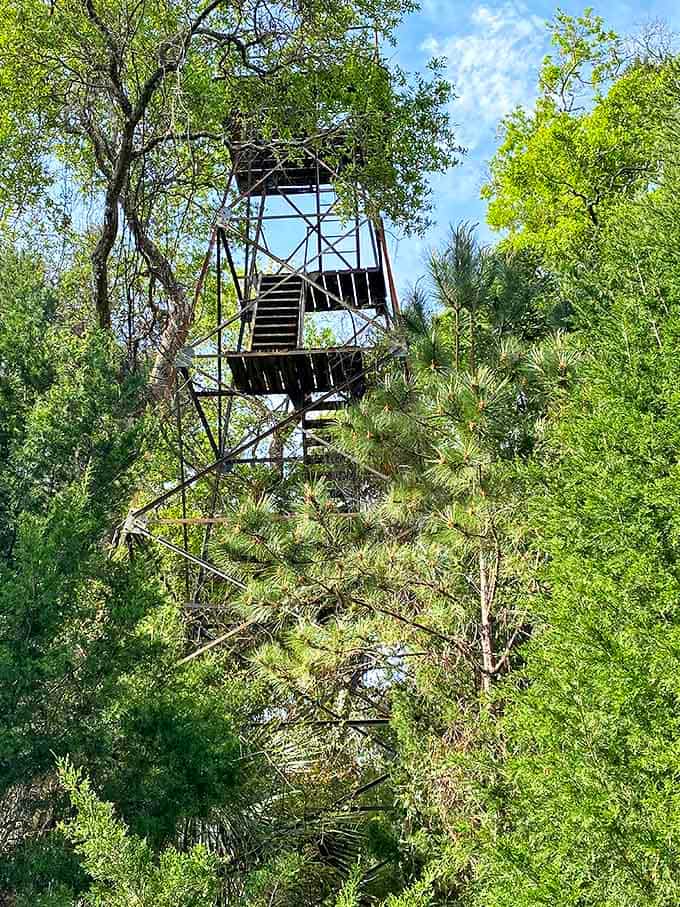 The distinctive cylindrical tower rises like a lighthouse warning ships away from dangerous shores &ndash; except here, it beckons the curious closer.