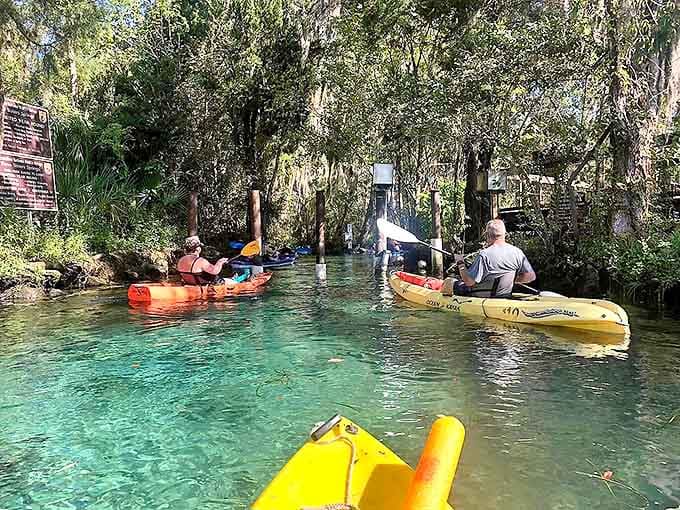 Kayaking through paradise: Colorful vessels glide across waters so clear they seem suspended between worlds.
