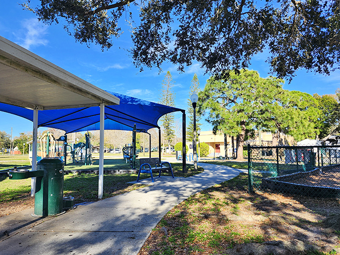 Tomlinson Park offers shaded pavilions and green spaces where locals gather for everything from birthday celebrations to impromptu guitar sessions on lazy afternoons.