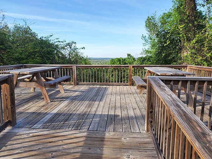 An observation deck offering views so spectacular you'll forget to check your phone for at least 20 minutes.