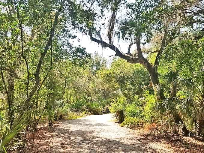 Winding paths that invite exploration, promising discoveries around every bend for those willing to take the scenic route.