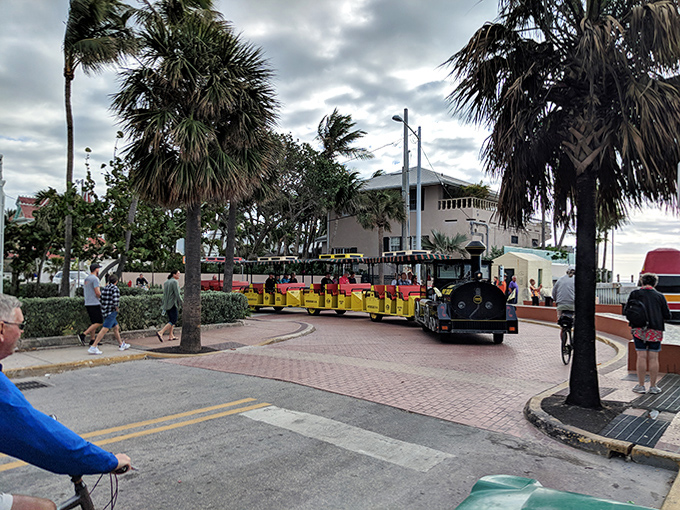 Threading through narrow streets, the train offers perspectives of Key West that walking tourists might never discover.