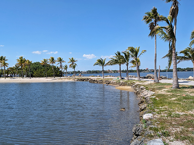 Where the mangroves meet the sea &ndash; this delicate ecosystem serves as nursery for countless marine species and sanctuary for visitors.