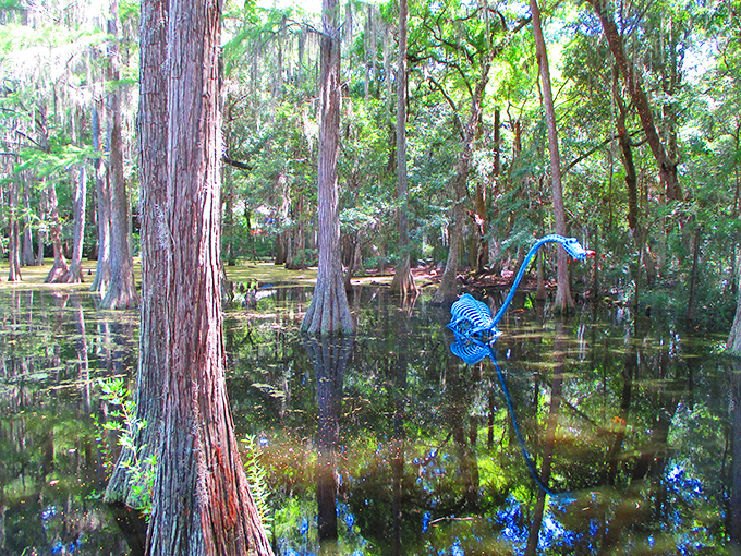 Art meets nature in this swamp setting, where creative sculptures transform ordinary walks into extraordinary discoveries.