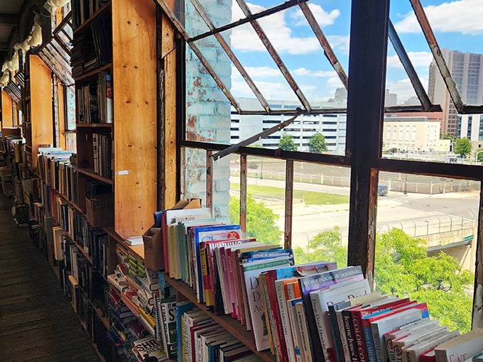 Sunlight filters through industrial windows, creating a perfect reading spot where urban views complement the literary journeys waiting on nearby shelves.