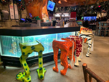 The Whole Family Will Love A Trip To The Rainforest Cafe, A Rainforest ...