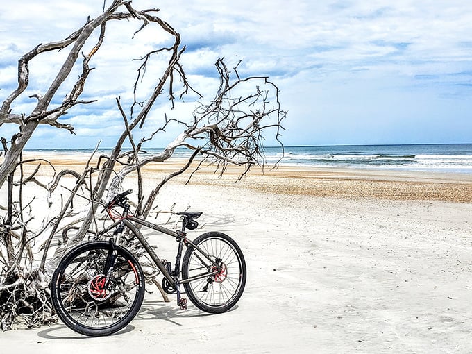 A bicycle rests against driftwood sculpture, two different modes of exploration pausing together at the edge of maritime wilderness.