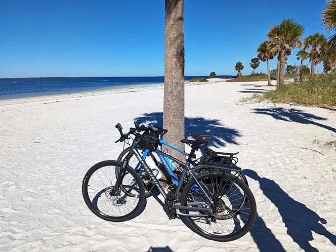 Two wheels and endless views &ndash; cyclists discover the causeway's magic at their own perfect pace.