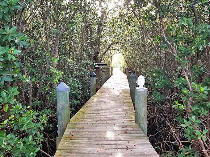 The boardwalk less traveled &ndash; wooden pathways guide visitors through delicate ecosystems without disturbing natural habitats.