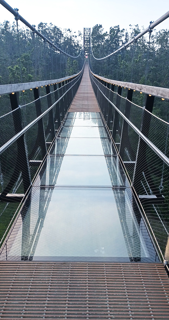 The glass floor section separates the brave from the "suddenly interested in cloud-watching" crowd. That transparent path reveals 118 feet of nothing between you and earth!