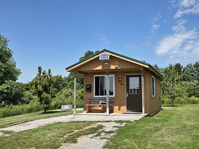 These rustic cabins don't just shelter &ndash; they invite you to experience nature's rhythms with just enough comfort to make wilderness accessible.