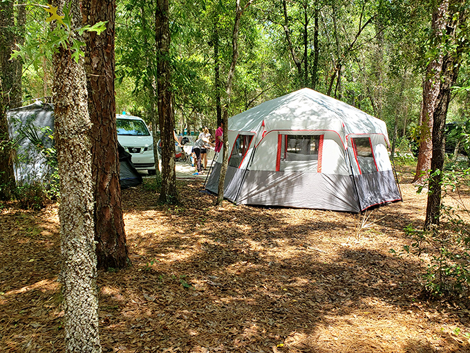 Camping among the pines &ndash; where five-star accommodations mean a million stars overhead and wake-up calls courtesy of songbirds.