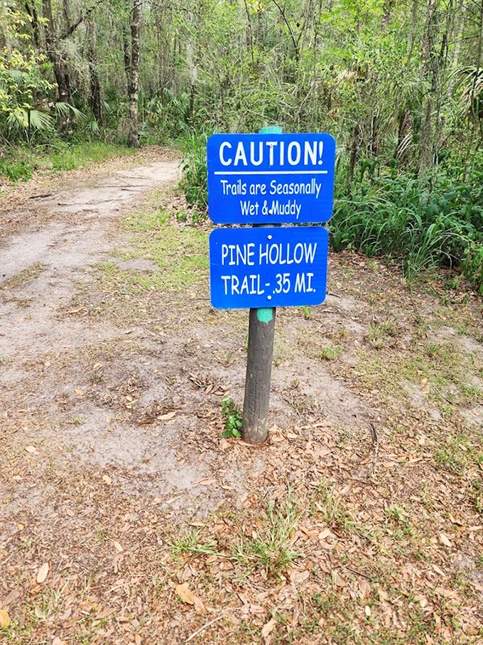 This trail sign serves as both warning and invitation &ndash; the best adventures sometimes require muddy shoes.