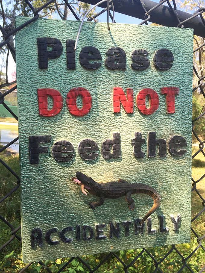 "Please DO NOT Feed the Animals ACCIDENTALLY" – the kind of sign that makes you wonder about the specific incident that necessitated its posting.