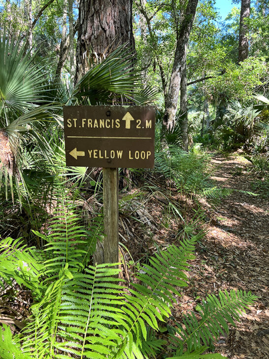 The Hidden Trail That Leads To A Mysterious Ghost Town in Florida