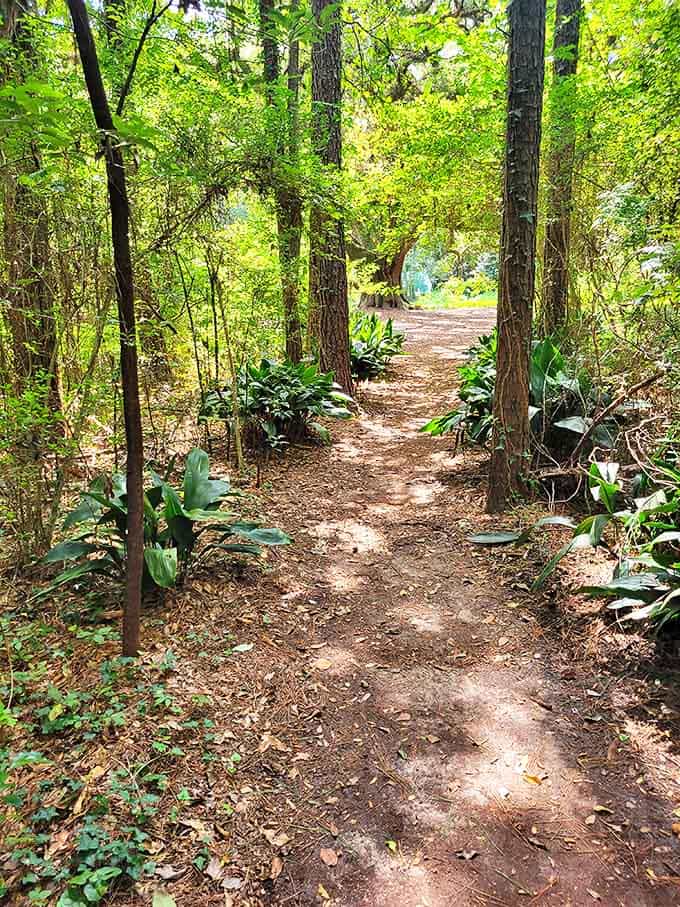 Into the woods: This humble dirt path leads deeper into Lichgate's grounds, where the modern world feels increasingly distant.