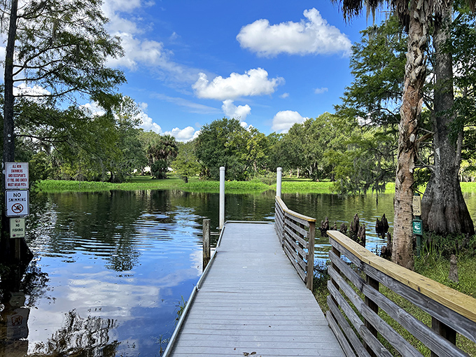 A wooden walkway extends into calm waters, inviting contemplation while providing front-row seats to nature's ever-changing watercolor show.